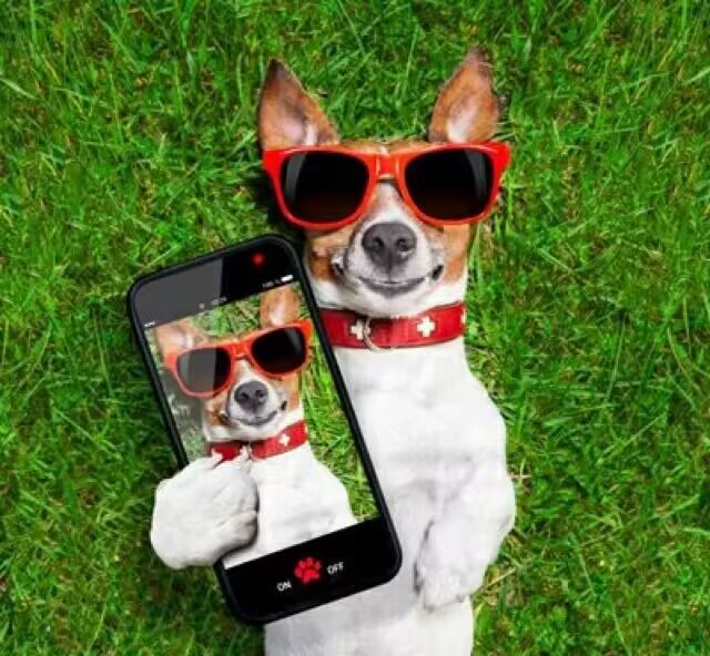 [放羊少年]战队 - Bugku CTF平台