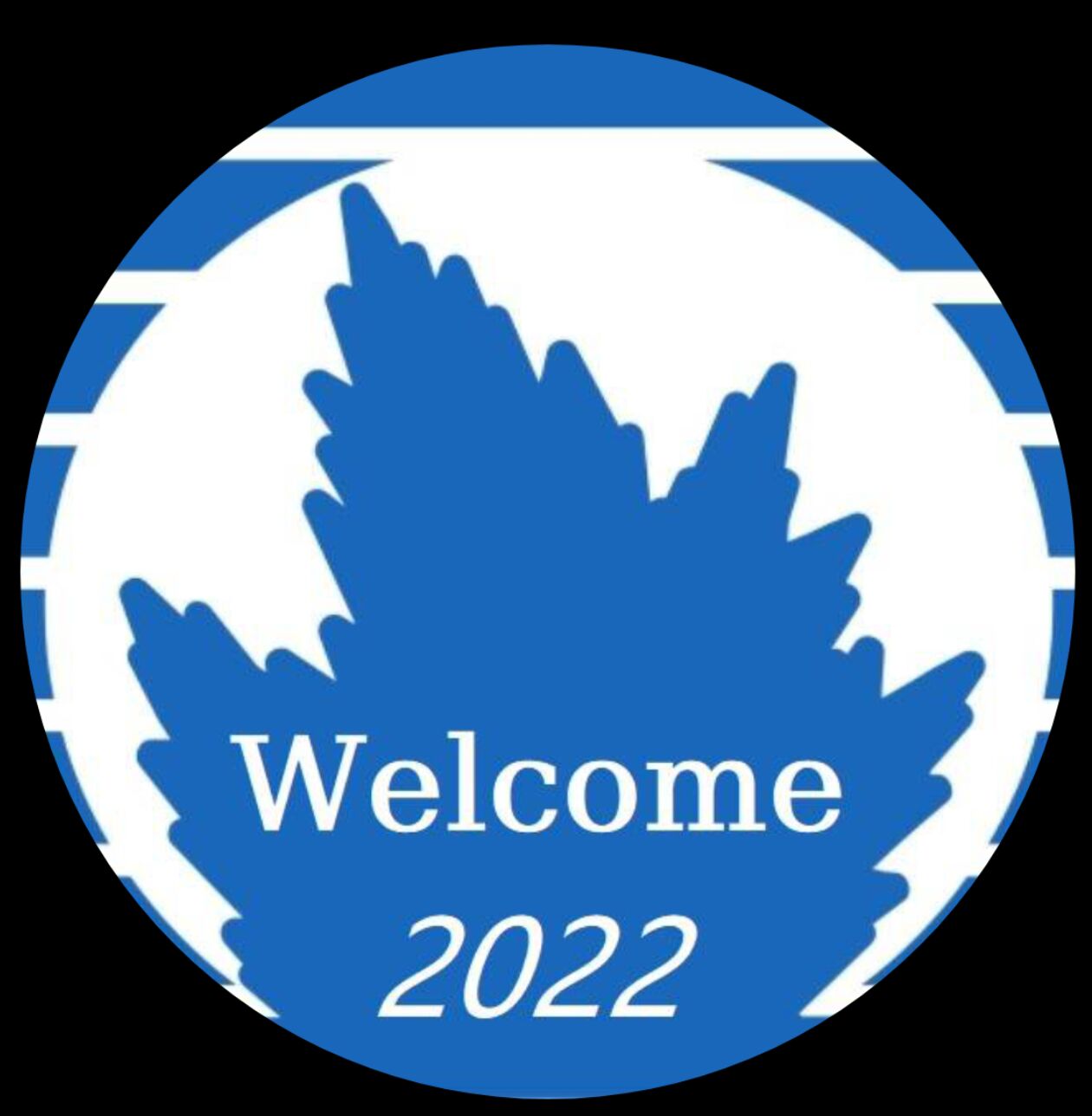 [Maple_seed2]战队 - Bugku CTF平台