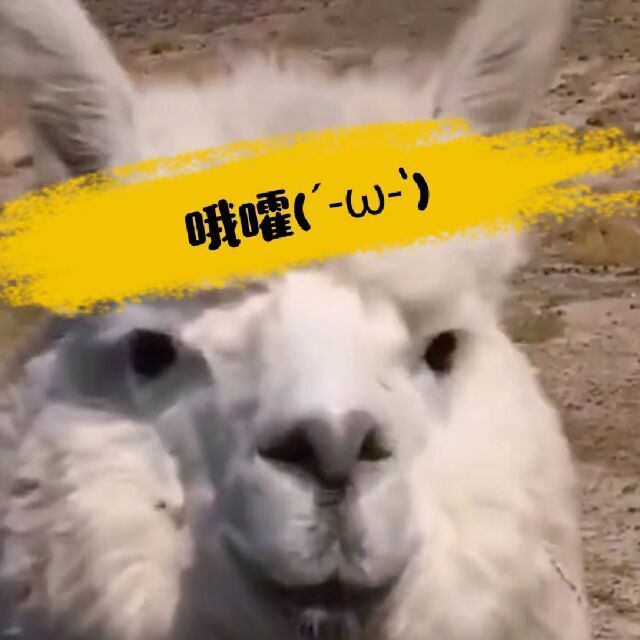 [manba]战队 - Bugku CTF平台